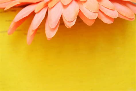 2023 Are Raspberry Pis Worth It Why Pi