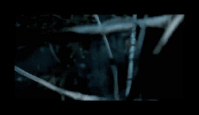 Djaqen Tumblr Com Tumbex