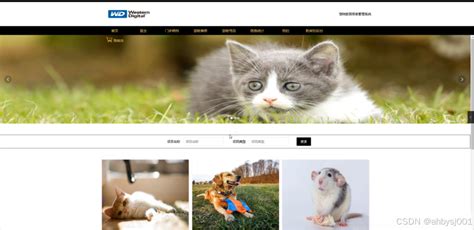 Javajspssm宠物医院信息管理系统【2024年毕设】 Csdn博客