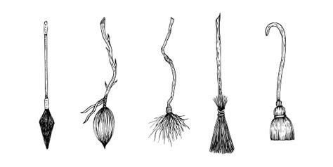 비행 마녀의 빗자루의 벡터 세트입니다 손으로 그린 선형 마법사 할로윈 그림 그래픽 흑백 스케치는 배경에 고립되어 있습니다 디자이너 프린트 로고 아이콘 메뉴 엽서 휴일 표지