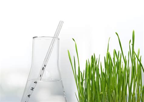 Laboratory Soil Analysis Lime