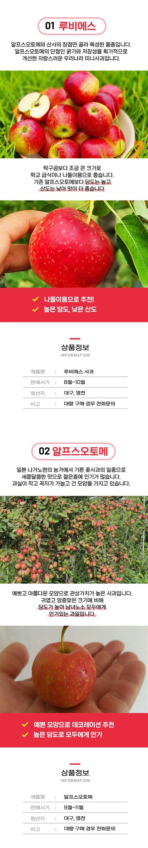 잇슈농장 루비에스 알프스오토메 2 