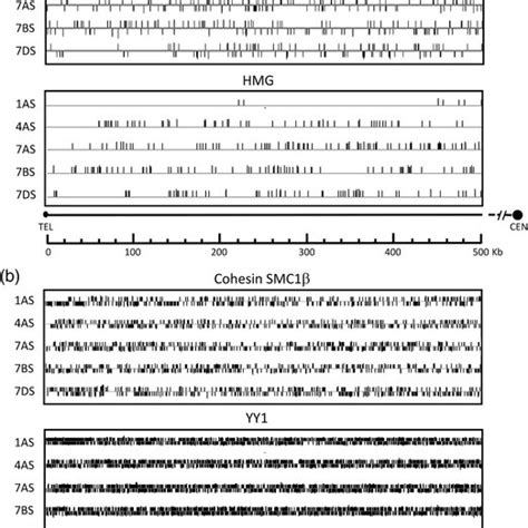 Distribution Of Predicted Binding Sites Of Relevant Dna‐binding