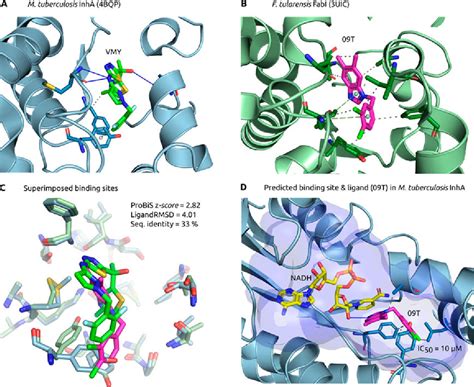 Figure 1 From Discovery Of Mycobacterium Tuberculosis Inha Inhibitors By Binding Sites