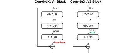 convnext v2 co designing and scaling convnets with masked autoencoders