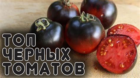 Томат Черри Кофе Описание Сорта Фото Отзывы — Фото Картинки