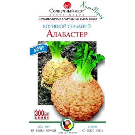 Сельдерей корневой Алабастер ( сорт из Германии)