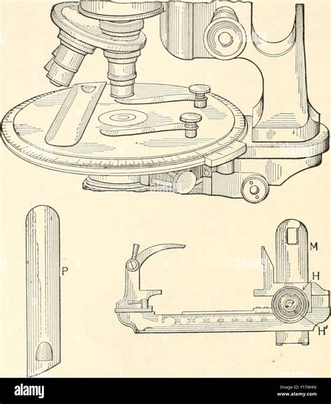 Binocular Microscope Drawing
