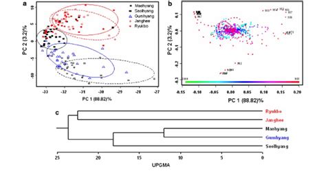Two Dimensional Pca Score Plot A Score Loading Plot B And Hca C