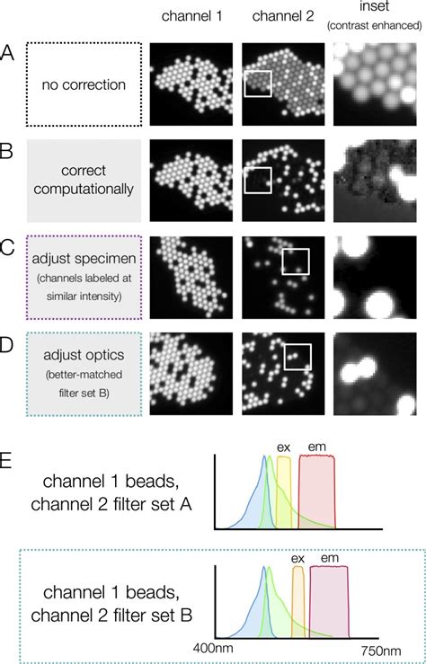 Designing A Rigorous Microscopy Experiment Validating Methods And Avoiding Bias Pmc