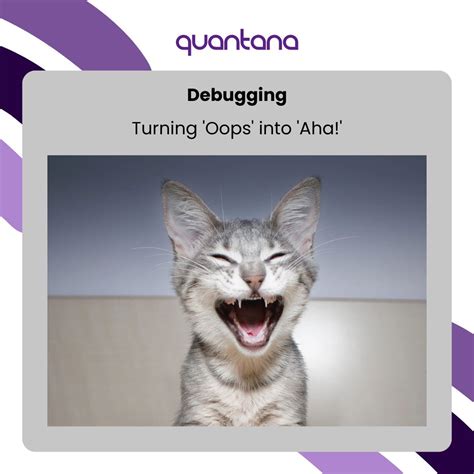 Quantanatech Debuggingjourney Codingchallenges Errortoaha