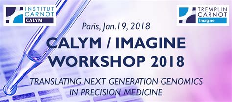 Object Categorization Computer And