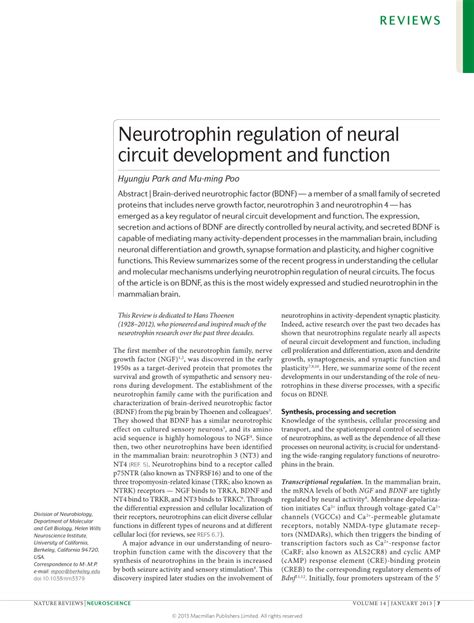 Pdf Neurotrophin Regulation Of Neural Circuit Development And Function