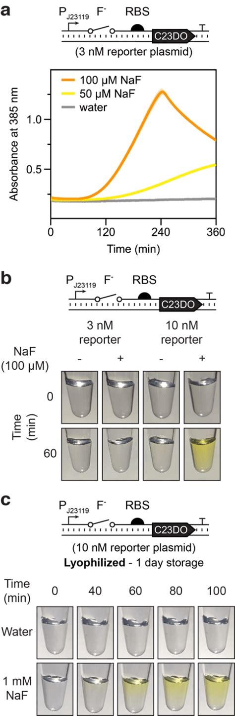 Colorimetric Reporters Enable Fluoride Sensing At Environmentally Download Scientific Diagram