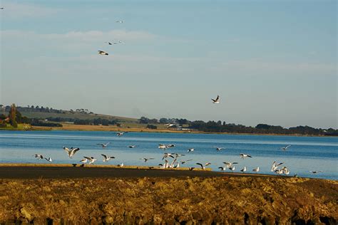 前端筆記 烏托邦