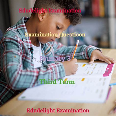 Primary 3 Exam Questions 3rd Term Free