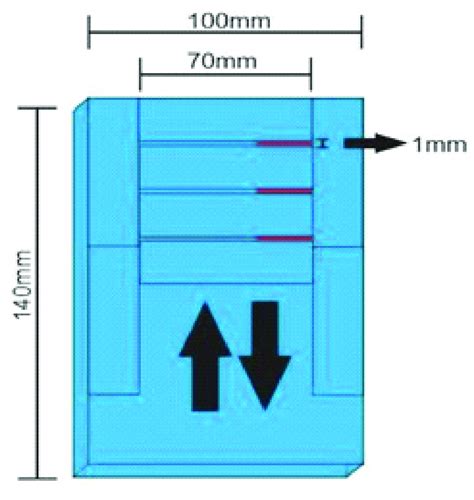 Device Design For Sample Preparation Download Scientific Diagram