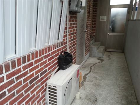 맛있는 블루베리 지인의 친구집에 직접 배달 부재 중이라 실외기 위에 두고 옮