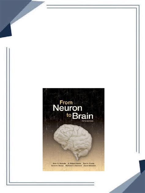 Get From Neuron To Brain Fifth Edition John G Nicholls Pdf Ebook With