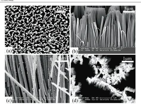 figure 1 from silicon nanowire array cu2o crystalline core shell
