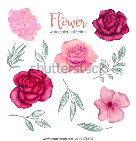 Set Separate Parts Bring Together Beautiful Stock Vector Royalty Free 2140178605 Shutterstock