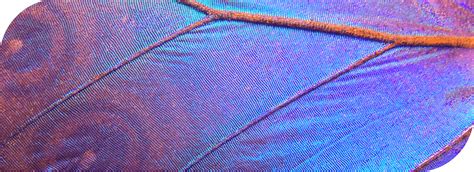 Csg Skills Employees Of The Month May June 2021 Csg Group