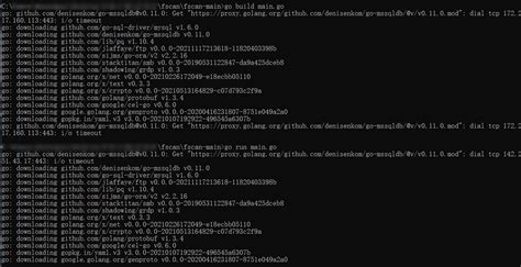 这是什么情况 · issue 168 · shadow1ng fscan · github