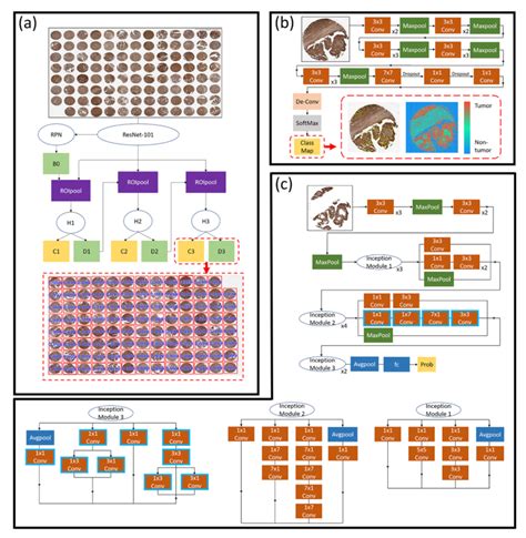 The Proposed Hybrid Deep Learning Precision Oncology Framework Contains
