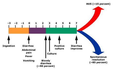 Haemolytic Uraemic Syndrome Symptoms