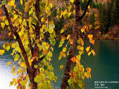 图片 九寨沟风光壁纸 0605 旅游博客travel Blog 美景旅游博客 图片 九寨沟风光壁纸 0605 旅游博客travel Blog 美景旅游博客