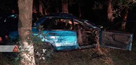 ВАЗ 21099 сбил лошадь в Ставропольском крае