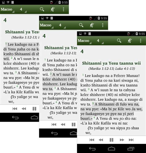audio playback and text synchronization reading app builder