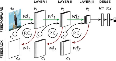Network Architecture The Architecture Consists Of A Main Body And A
