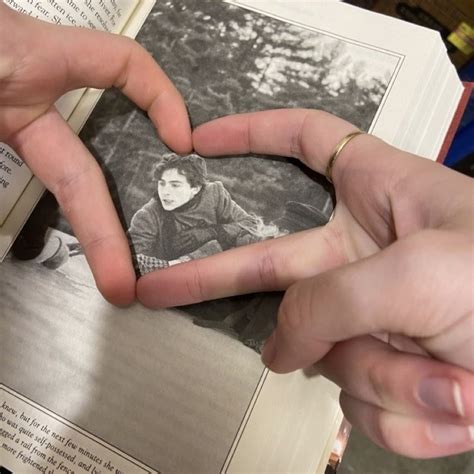 timothée chalamet smut on Tumblr