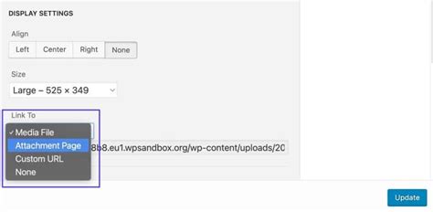 How To Make A Link Clickable Kinsta