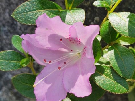 2024년 마리끌레르 ★ 6월 별자리운세 ⑵ 사수자리·염소자리·물병자리·물고기자리·양자리·황소자리 네이버 블로그