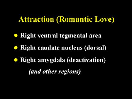 Sex Sexuality And Serotonin