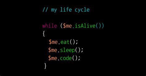 Coder Life Cycle Coder Humor Sticker Teepublic