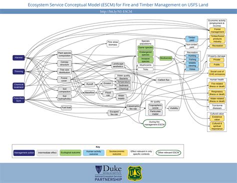 Timber Management The Nicholas Institute For Energy Environment