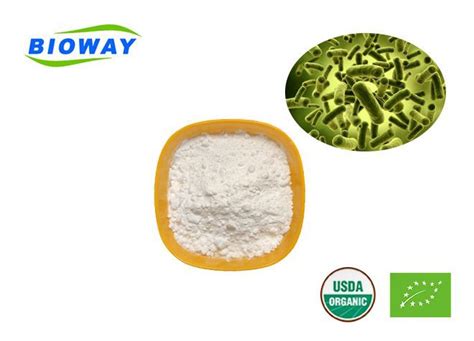 Nhà Cung Cấp Nhà Sản Xuất Nhà Máy Sản Xuất Bột Lactobacillus