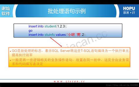 T Sql批处理与逻辑控制语句解析 Csdn博客