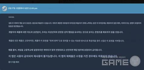 다시는 가슴 작은 캐릭터는 만들지 않겠다 억울함 호소하는 게임 개발자 나무뉴스