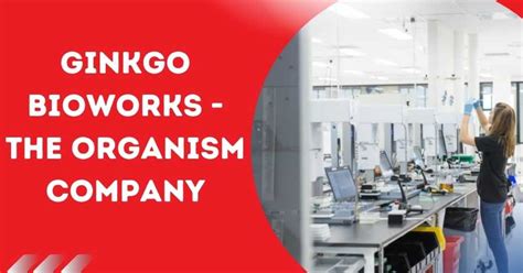 Ginkgo Bioworks The Organism Company Startupnoon 🚀