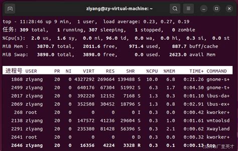 Linux实验报告9 进程管理linux进程管理实验报告 Csdn博客