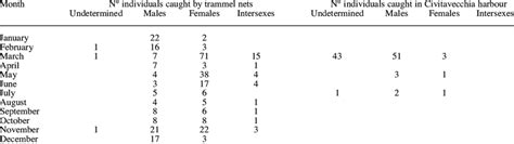 Number Of Individuals Divided According To Sex Caught Monthly Download Table