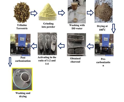 Preparation Of Activated Carbon Download Scientific Diagram