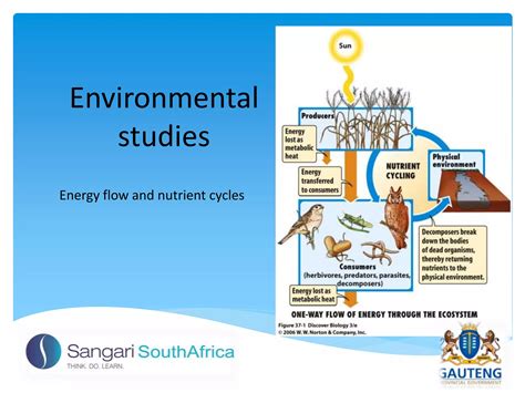 Energy Flow And Nutrient Cycles Pptx