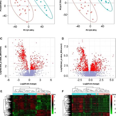 Multivariate Statistical Analysis For Lipid Profile Between The Npm And