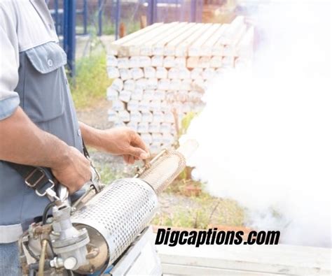 Animal Feed Fumigation Quotes And Captions For Instagram