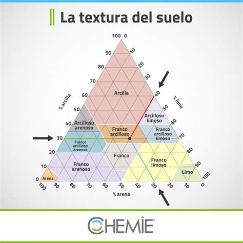 Dany G Posted On Linkedin